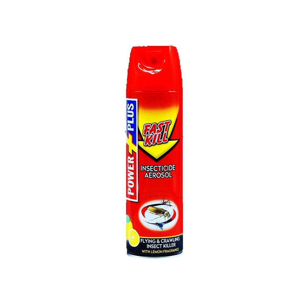 POWER PLUS FAST KILL INSECTICIDE AEROSOL 300ML – abdalibabafoods