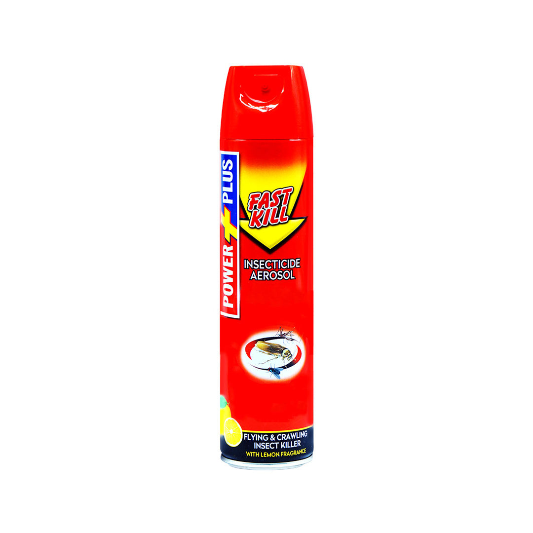 POWER PLUS FAST KILL INSECTICIDE AEROSOL 500ML – abdalibabafoods